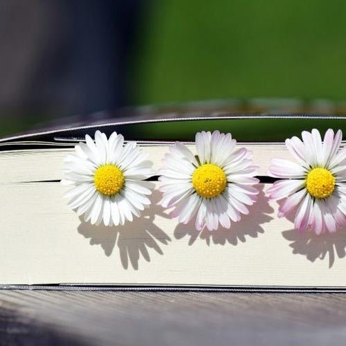 New in Books: Spring Paperback Edition